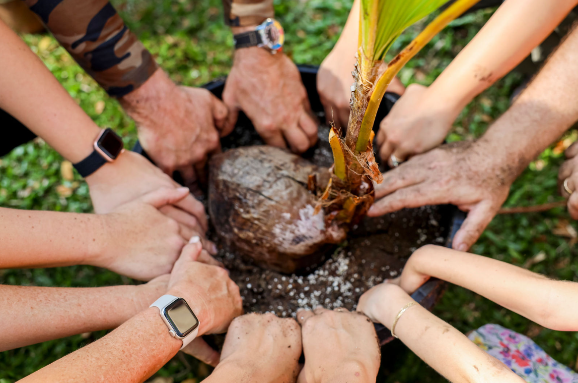 Rooted in Purpose: Treecovery's Strategic Framework Charts Our Path ...